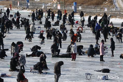 平昌マス祭り 釣りに夢中 江原道 Chosun online 朝鮮日報