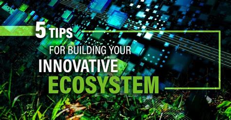 5 Tips For Building Your Innovation Ecosystem Wgi