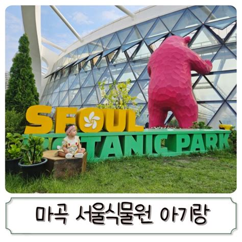 서울 강서구 실내 아기랑 갈만한 곳 마곡 서울식물원 방문 후기 네이버 블로그