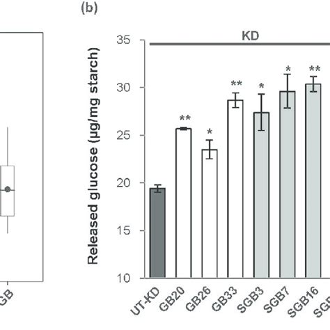 Granule Morphology Of Starches From Transformants And Controls A