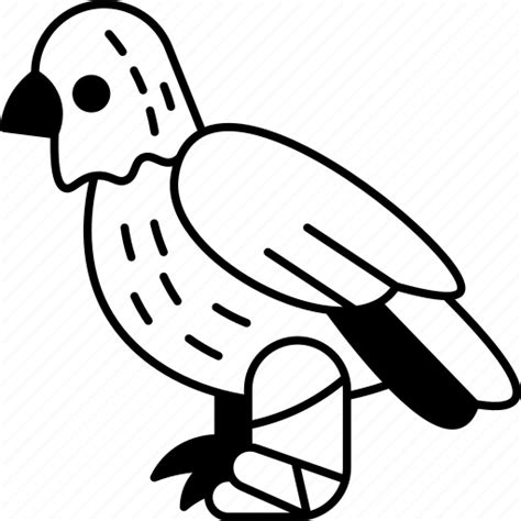 Bird Splint Veterinary Treatment Care Icon Download On Iconfinder