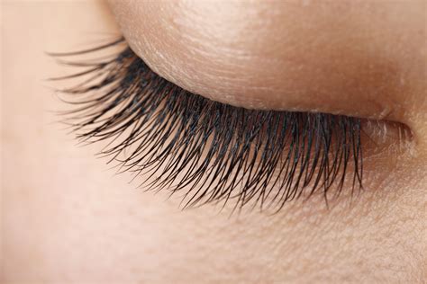 Longer Lashes | Eyelashes, Makeup eyelashes, Long lashes
