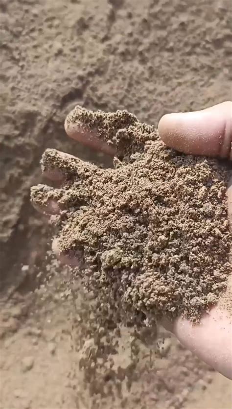 Palm Kernel Expeller Inaexport Palm Kernel Expeller Inaexport