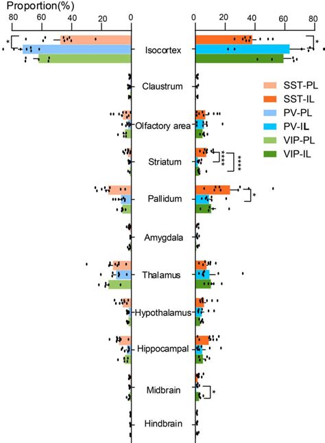 Quantitative Analysis Of Whole Brain Monosynaptic Inputs To Different