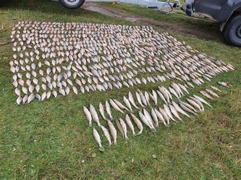 Три кілометри сіток та два центнери риби вилучено у браконьєрів на Південному Бузі XМ ІНСАЙД