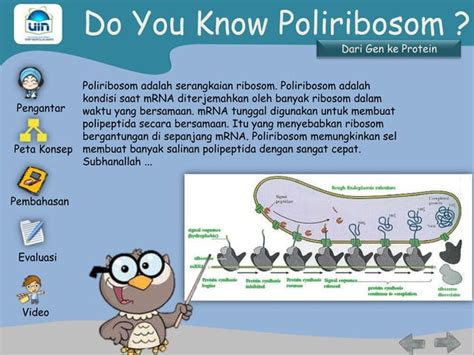 Sintesis Protein Ppt