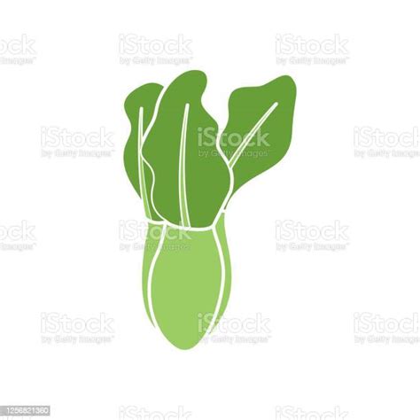 生菜向量設計範本插圖向量圖形及更多人造物件圖片 人造物件 健康的生活方式 健康飲食 Istock
