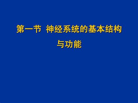 神经系统生理学 Word文档在线阅读与下载 无忧文档