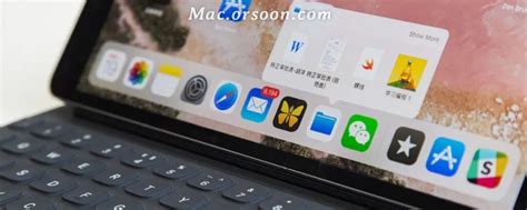 新手值得一看！macos中dock栏的设置和使用技巧 用苹果电脑macos的dock栏 哪些图标是无法移动的 csdn博客