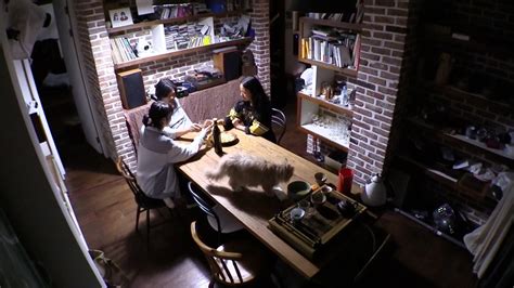 방송 효리네 민박 이효리·이상순·아이유의 마지막 밤 Ytn