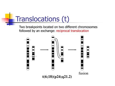 Ppt Chromosome Abnormalities Powerpoint Presentation Free Download