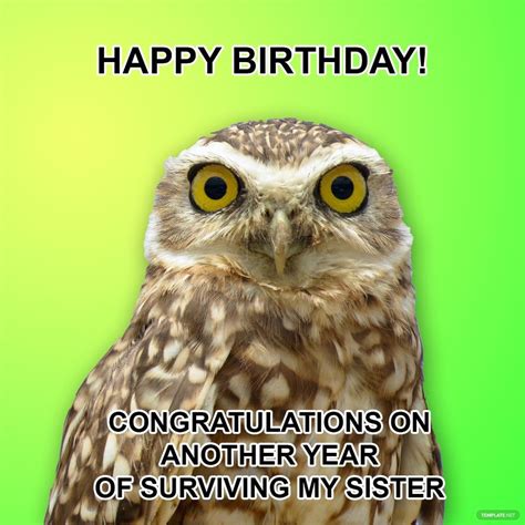 Happy Birthday Brother In Law Meme In Psd Illustrator   Png