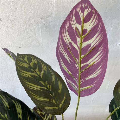 Artificial Calathea Small