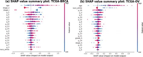Autosurv Interpretable Deep Learning Framework For Cancer Survival Analysis Incorporating