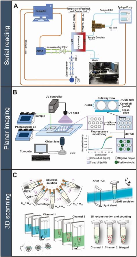 Droplet Based Digital Pcr Ddpcr And Its Applications 海南省生物材料与医疗器械工程研究中心
