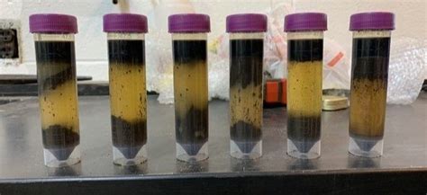 Lab Separation And Recovery Systems