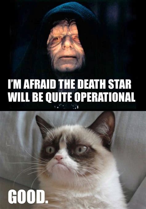 Grumpy Cat Star Wars Quotes
