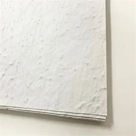 Our Seed Paper Growingpaper