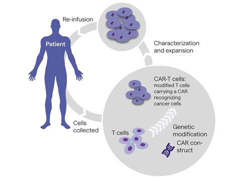 Cell And Gene Therapy Lonza