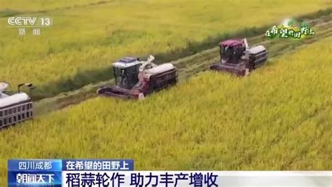 全国秋粮已收获236亿亩，完成近两成 国内动态 华声新闻 华声在线