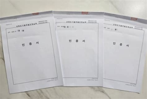 해외고교 졸업자외국 학력 인정자 대학수학능력시험 접수 네이버 블로그