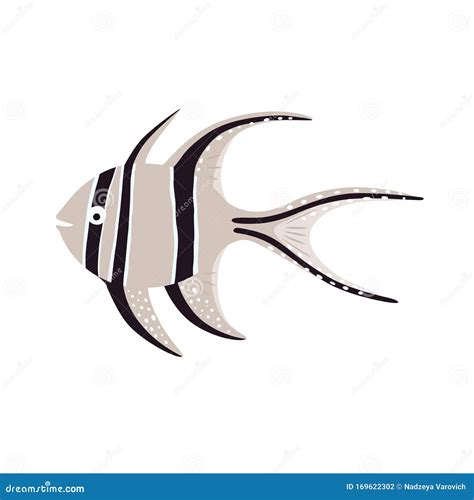 Banggai Cardinalfish Pterapogon Kauderni Marine Fish Cartoon Vector