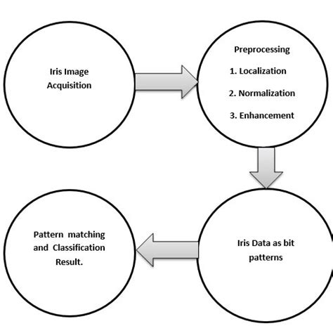 Block Diagram Of Iris Recognition System Download Scientific Diagram