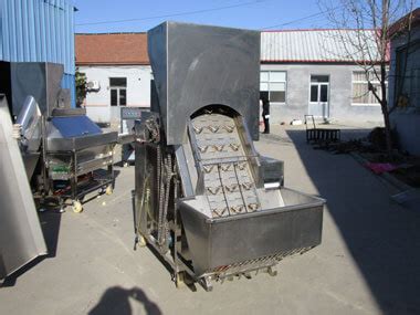 Automatic Onion Peeling Machines Capacity From Kg Hr To Kg Hr