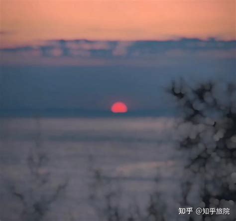 青春正燃烧 知乎