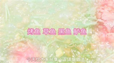 烤鱼 草鱼 黑鱼 鲈鱼 Youtube