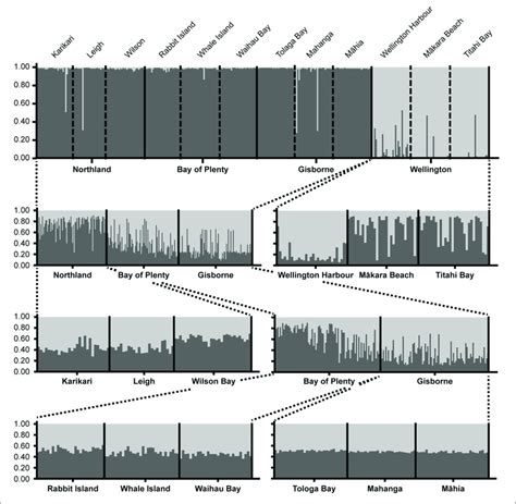 Bayesian Modeling Of Population Structure For E Radiata Obtained