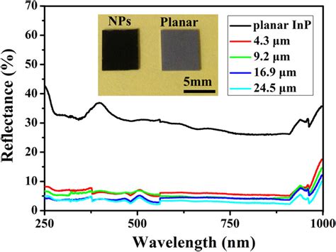 Total Reflectance Spectra Of Planar Inp And Inp Nps With Different