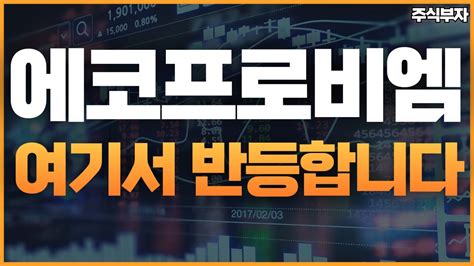 주식 에코프로비엠 여기서 반등합니다 에코프로 에코프로비엠 에코프로머티리얼즈 에코앤드림 에코프로에이치엔 포스코홀딩스