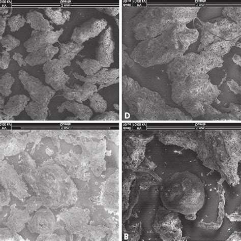 Ftir Spectra Of Atenolol A Eudragit S 100 B Eudragit L 100 C