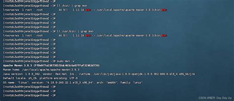 Sudo Mvn Command Not Found Csdn