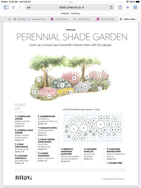 Perennial Shade Garden Design Ideas