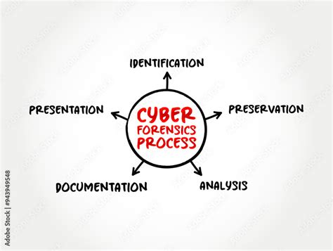 Stages Of The Cyber Forensics Process Sub Branch Of Digital Forensics Relating To The