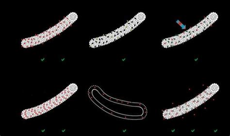Low Phototoxicity Fluorescent Probes And Labelling For Live Cell Download Scientific Diagram