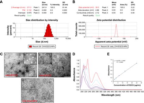 Size Characterization And Encapsulation And Loading Efficiencies Of Download Scientific Diagram