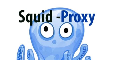 Installer Et Configurer Squid En Tant Que Serveur Proxy Cache