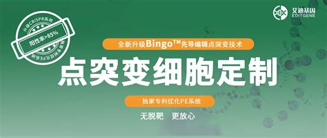 点突变细胞定制 基因敲除细胞 点突变 文库筛选 CRISPR检测 艾迪基因官网