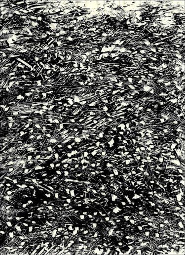 Monotype Noir Papier De Soie 18 Gravures Estampes Par Alain Lamy