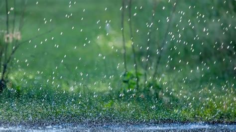 Poems Rain Songs