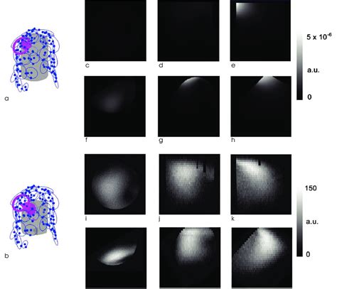 Extracted Figures From The Matlab Based Pace Toolbox Visualization Download Scientific Diagram