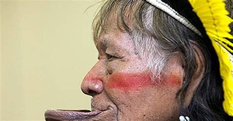 아마존 열대우림 보존에 대해 할말이 많아요