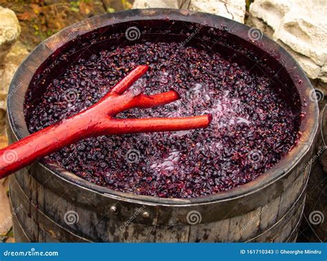 Red Wine Making In Process Work Mixing Wine In The Process Of