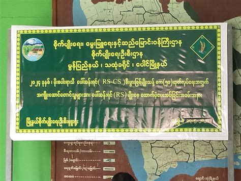 ပေါင်မြို့နယ်၌၂၀၂၄ခုနှစ်၊မိုးစပါးရာသီပေါ်ဆန်းရင် Rs Csစီးပွားဖြစ်မ