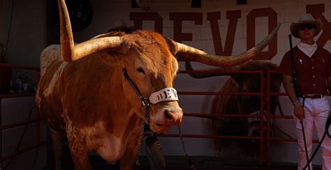 College Football Recent Study Reveals The 16 Biggest Fan Bases