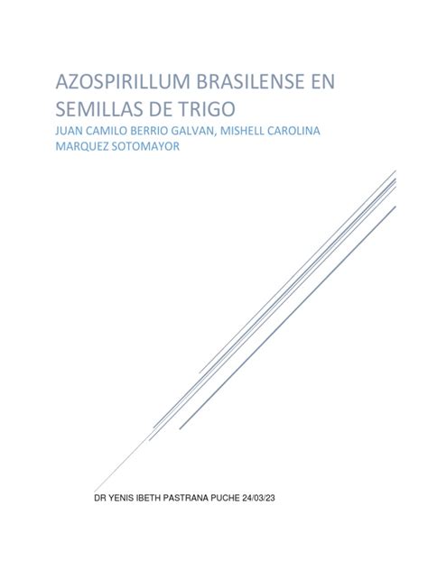 Azospirillum Brasilense Trigo Pdf Hormona Vegetal Semilla