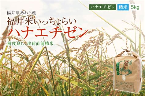 福井県あわら産 ハナエチゼン 精米 5kg 通販 あわら農楽ファーム